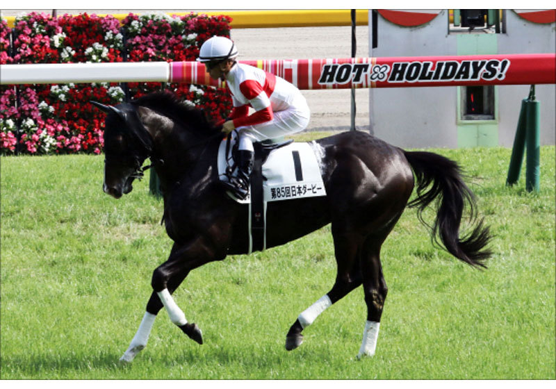 JRAダノンプレミアム金鯱賞（G2）「大復活」圧勝!! 川田将雅「この時を待っていた」黄金世代”No.1″がG1馬4頭を一蹴！ | GJ