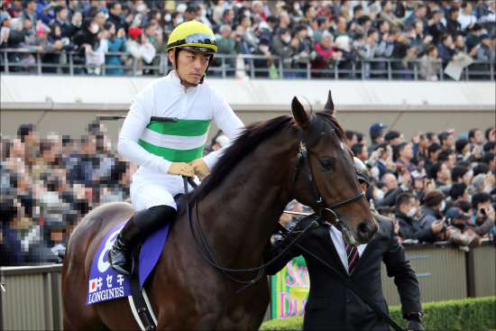 JRA有馬記念（G1）キセキが奇跡の回復!? 栗東から届けられた有力馬情報大放出！ | GJ