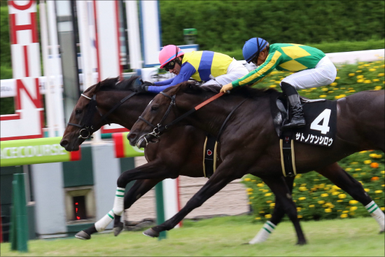 JRA「覚醒」に武豊も複雑？ エアウィンザー2019始動戦で指名なく…… | GJ