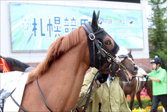 【札幌2歳S（G3）展望】JRAクラシック2019候補誕生？ 札幌開催最後の重賞を制するのは | GJ