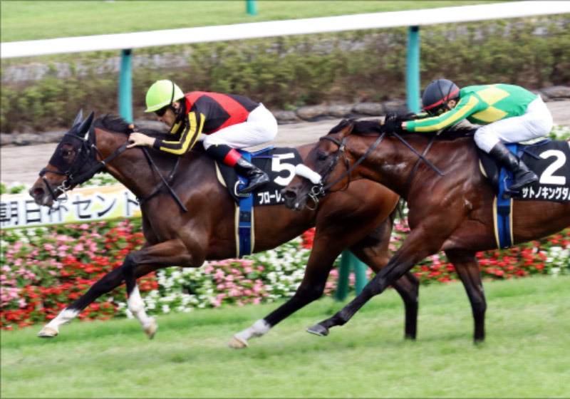 【マーメイドS（G3）展望】JRA「善戦ウーマン」フローレスマジック今度こそ！ 強豪ひしめくハンデ戦！ | GJ