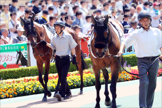 JRAジャパンC（G1）「幻の1番人気」が絶好枠をゲット！ 3強直接対決「裏の主役」が吃驚仰天の走りで上位陣に迫る!? | GJ