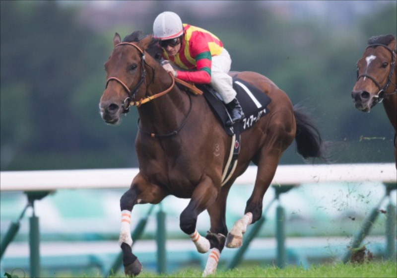 JRA安田記念（G1）「無視厳禁」フィアーノロマーノ「高速馬場大歓迎」でG1馬競演に一石！ | GJ