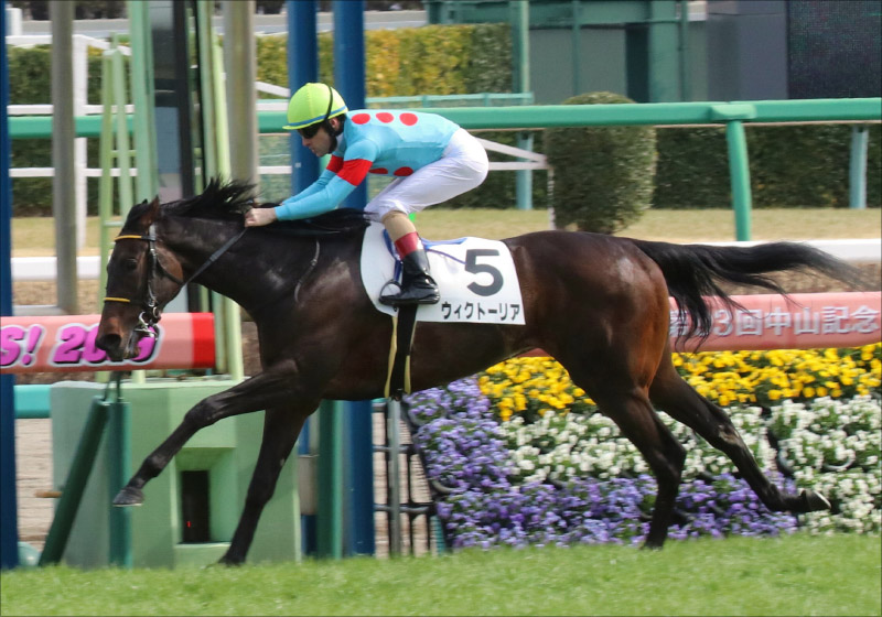 【フローラS（G3）展望】JRA「G1馬の娘」ウィクトーリアに期待大！ オークスに向けた巻き返しの前哨戦 | GJ