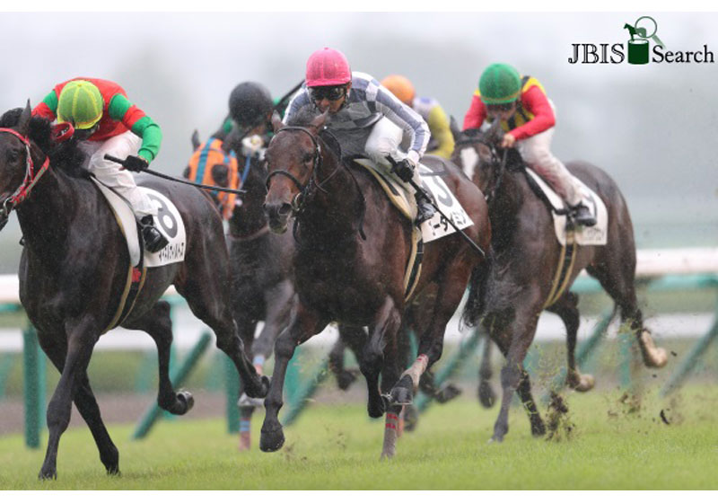 JRAラジオNIKKEI賞（G3）武豊「ゴータイミングがお目当て」オジュウチョウサン以来の福島参戦「リクエスト」で重賞狙い撃ち！ | GJ