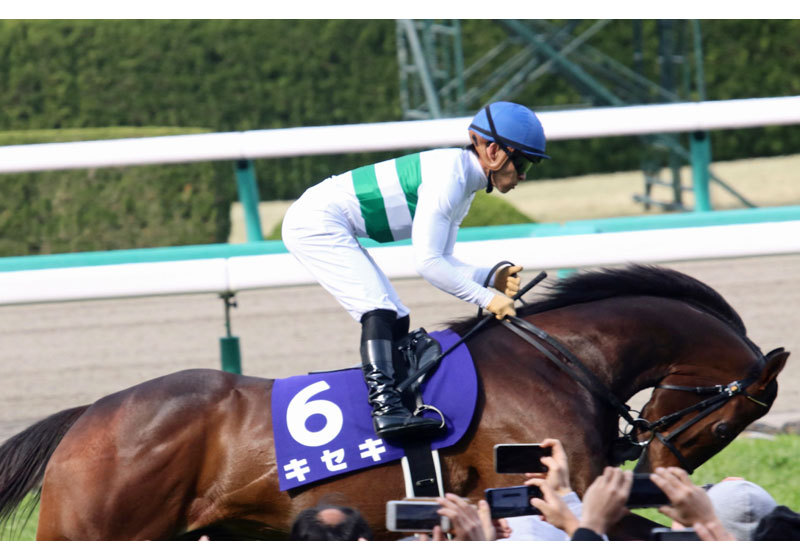 JRA「2着王」キセキ宝塚記念（G1）選択に「なぜ」？ 天皇賞・春を嫌うのは「今後」のためか | GJ