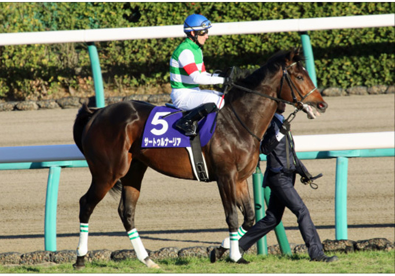 JRA皐月賞（G1）サートゥルナーリアは〇番手！ 有力「現場ネタ」から「穴馬券」を狙い撃ち!! | GJ