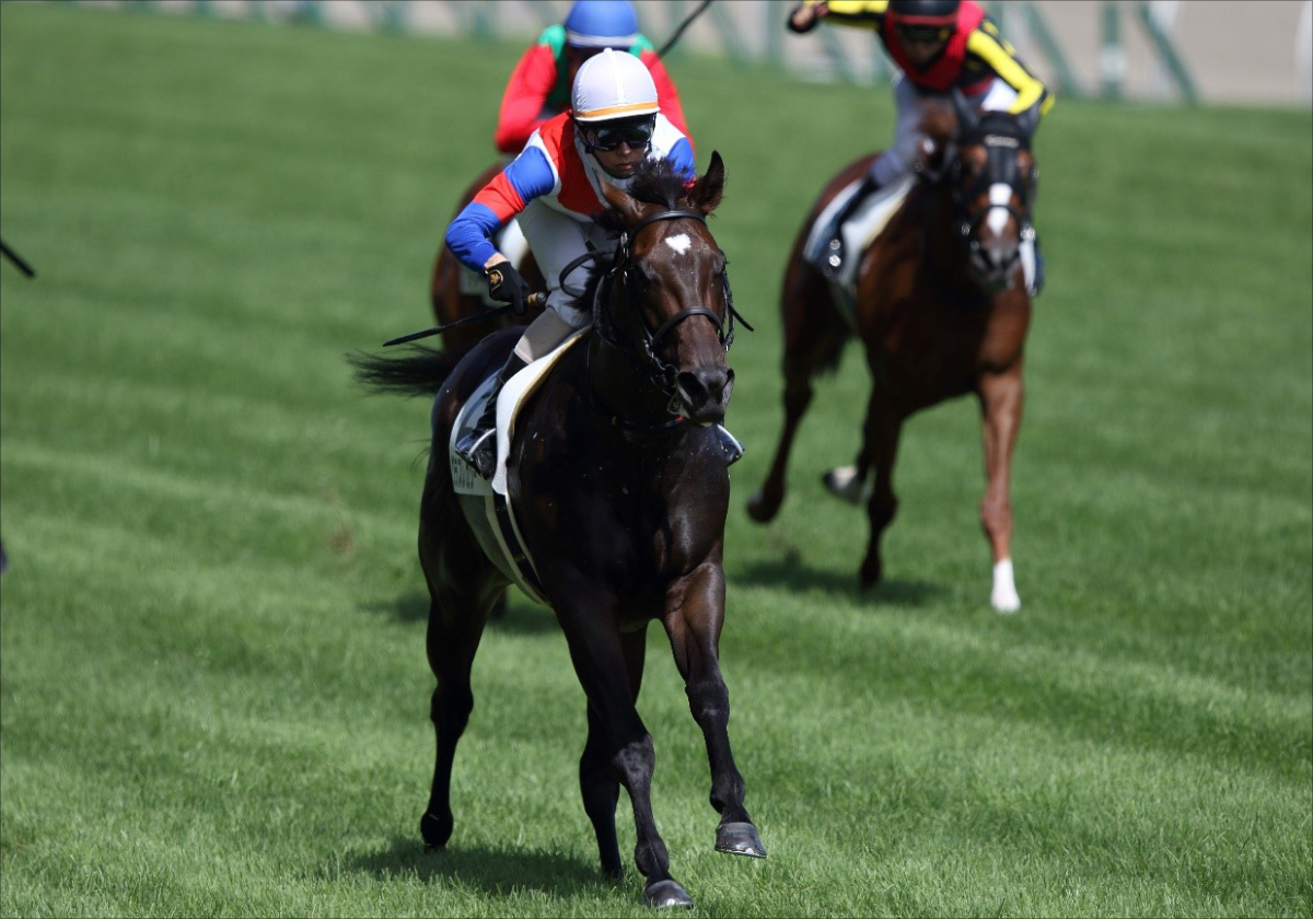 JRA「アイビスSD（G3）」は予想困難か……圧倒的な「結果」を生み出す秘訣とは | GJ