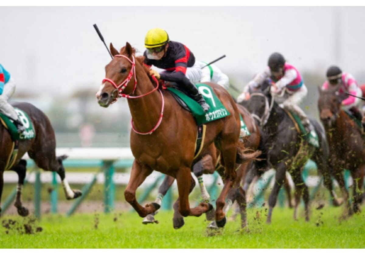 JRA皐月賞。G1で1番人気3連敗の崖っぷち横山武史騎手に強力な追い風！キラーアビリティはここでこそ買える!? | GJ