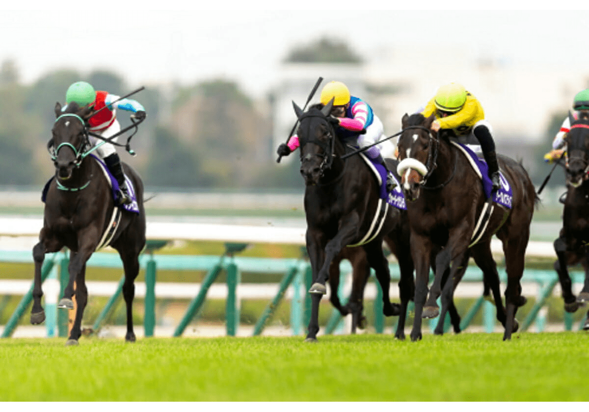 JRA桜花賞、阪神JF（G1）11万馬券的中が至極当然な訳！ ナミュール斬りで狙う馬は20万馬券!? | GJ