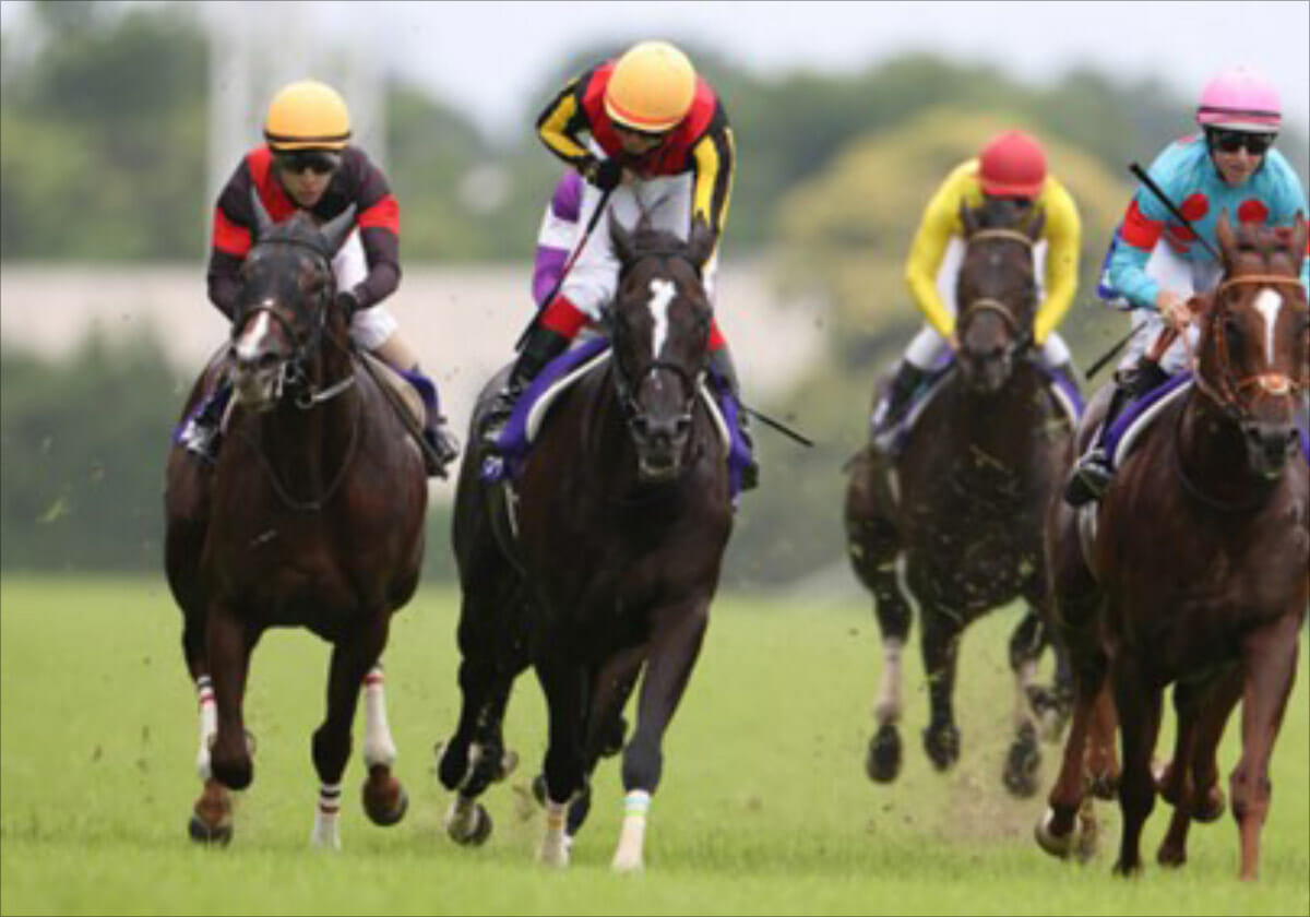 JRAセントウルS、海外遠征前にこのレースを選んだソングライン陣営の思惑！ | GJ