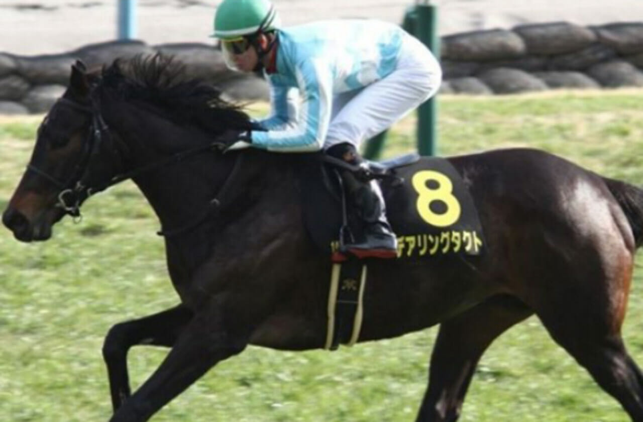 JRAオールカマー（G2）デアリングタクトの調教師が気になる発言、上位人気馬に不安説続々…関係者が語った「出るからには万全」の建前と本音 | GJ