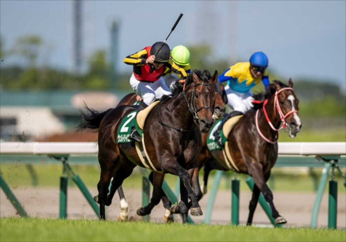 JRAドウデュース敗戦も終わってみれば「想定内」の手のひら返し!? 陣営の思惑に勝利の秘策あり、オールカマー（G2）デアリングタクトも安心できない舞台裏 | GJ