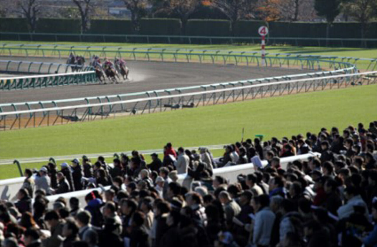 JRAスプリンターズSの裏事情。横山武史の“ダメ出し”シュネルマイスター陣営の本音と狙い | GJ