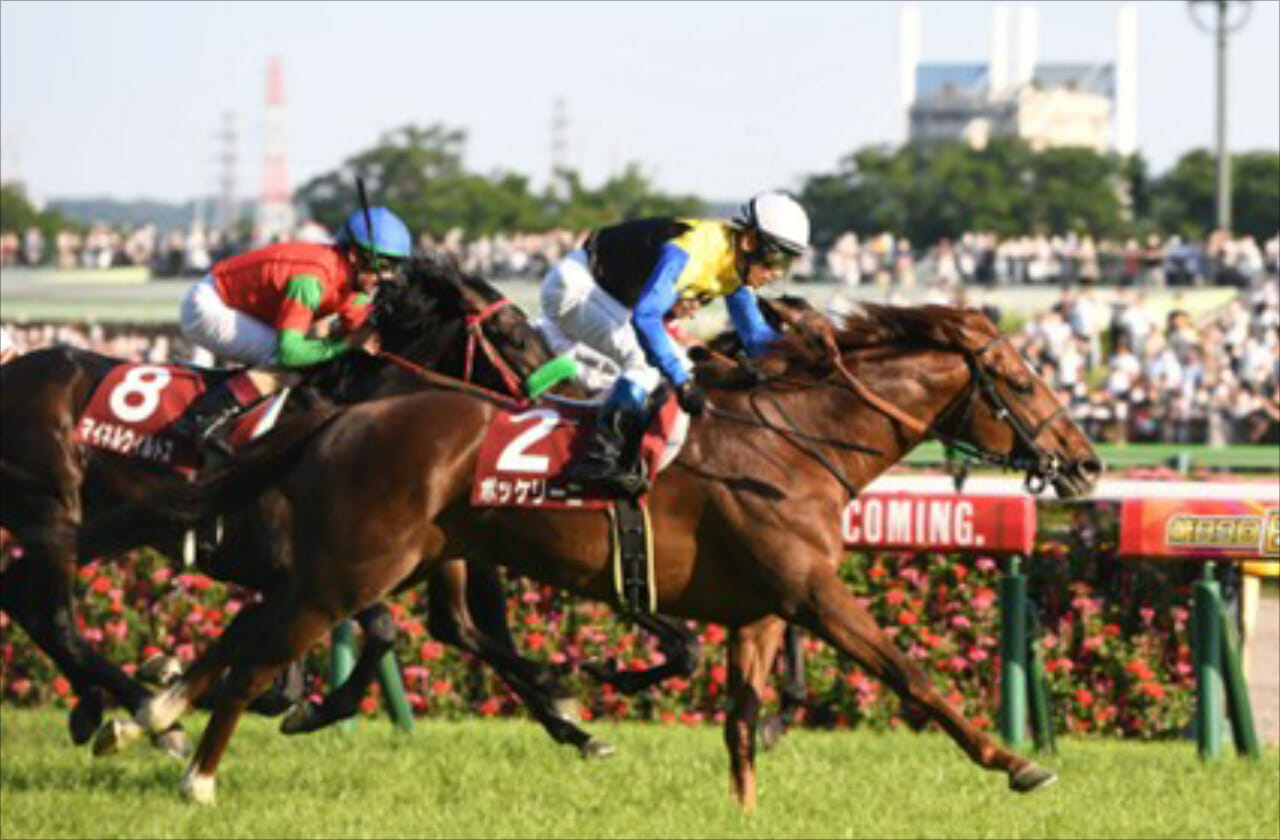 武豊騎手に最後のG1チャンス？JRAジャパンCは待ち望んでいた“あの条件”で勝機到来！ | GJ