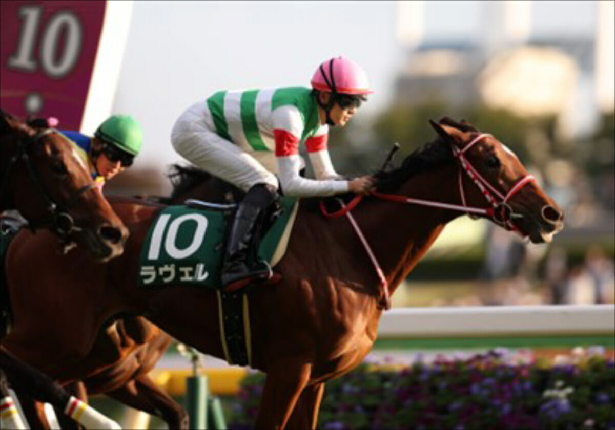 JRA阪神JFで立場逆転！リバティアイランドがラヴェルを圧倒？さらにその裏があった衝撃の2歳牝馬情報！ | GJ