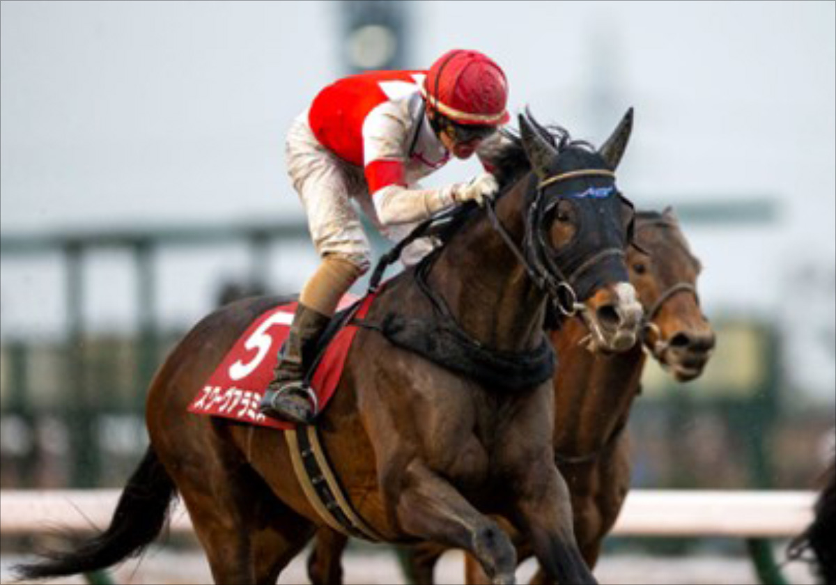 「テーオーケインズ本命はアマチュア」JRA東海SはチャンピオンズCでジュンライトボルトの勝利を見抜いた穴馬の法則で勝負！ | GJ