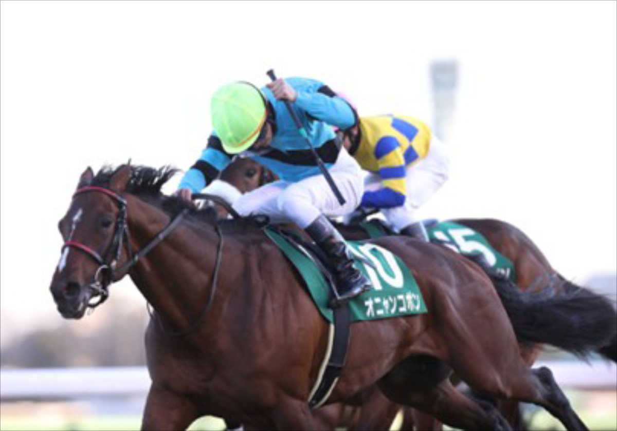 JRA東京新聞杯、“東京巧者”で秘蔵の穴馬が万全の態勢、意外なマイスターはデータではわからない馬！ | GJ
