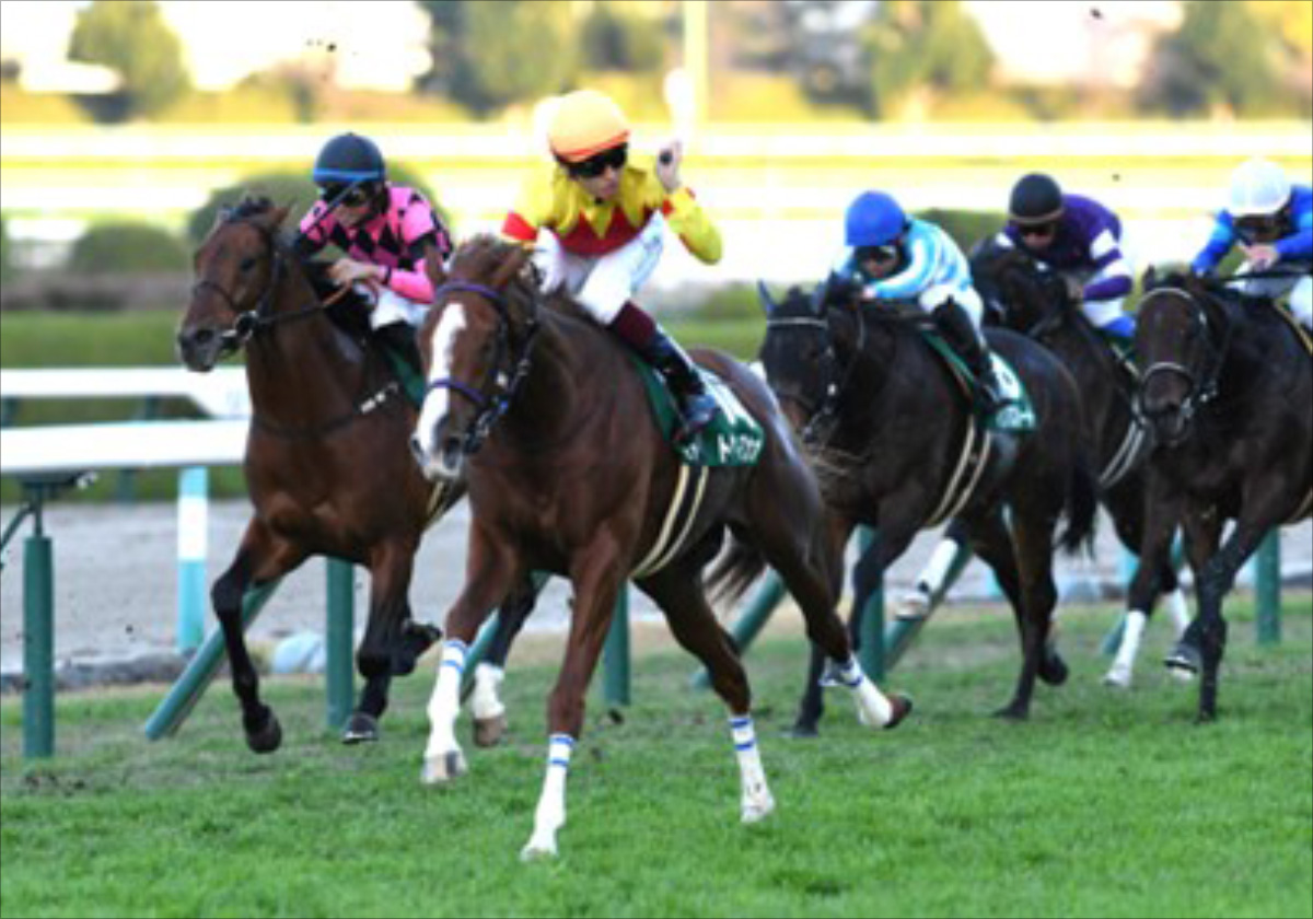 まさに侍ジャパン！JRAのヌートバーことルメール躍動！ドバイ遠征は過去最強の布陣！JRA高松宮記念と夢の大一番へ！ | GJ