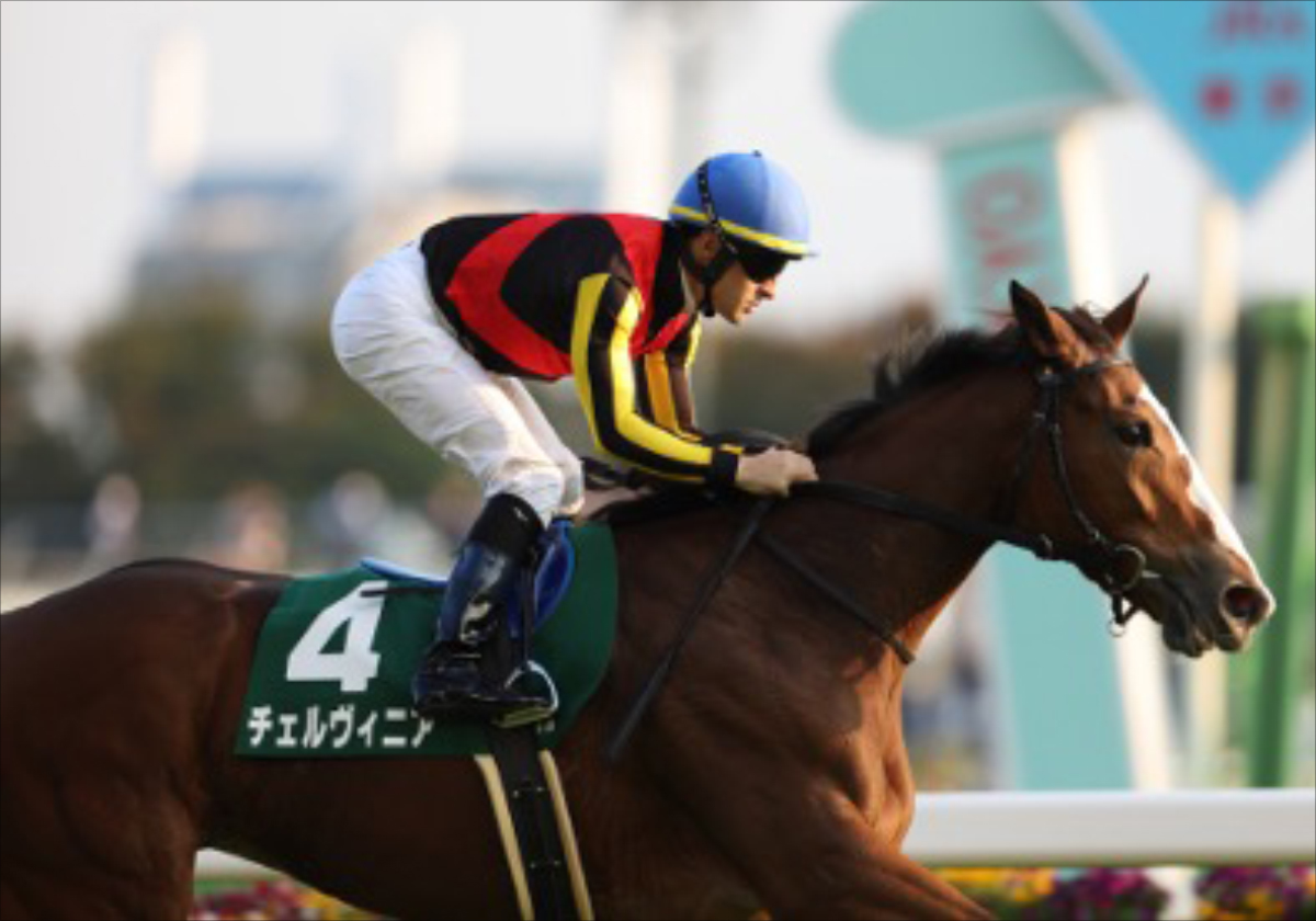 阪神JF『12番人気2着ウィルソンテソーロに続く注目穴馬』が出走。チャンピオンズCで12番人気を推せた理由とドリームチームのJFの決断 | GJ