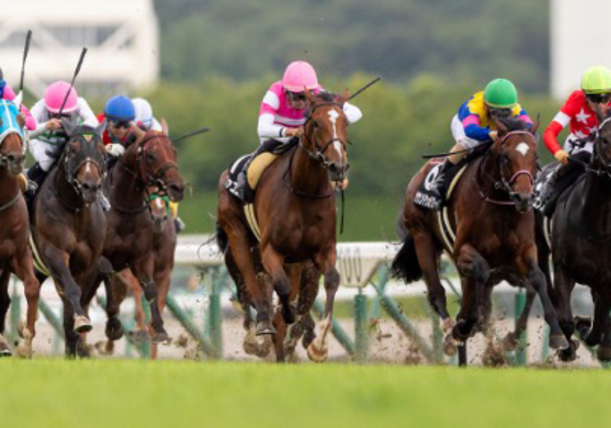 JRAマーメイドS、栗東トレセンから届いた福永祐一厩舎エーデルブルーメ「本当の評価」とは | GJ